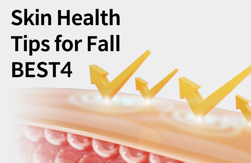 [Skin Health BEST 4] BEST 4 Ingredients for Skin Health in Fall ...