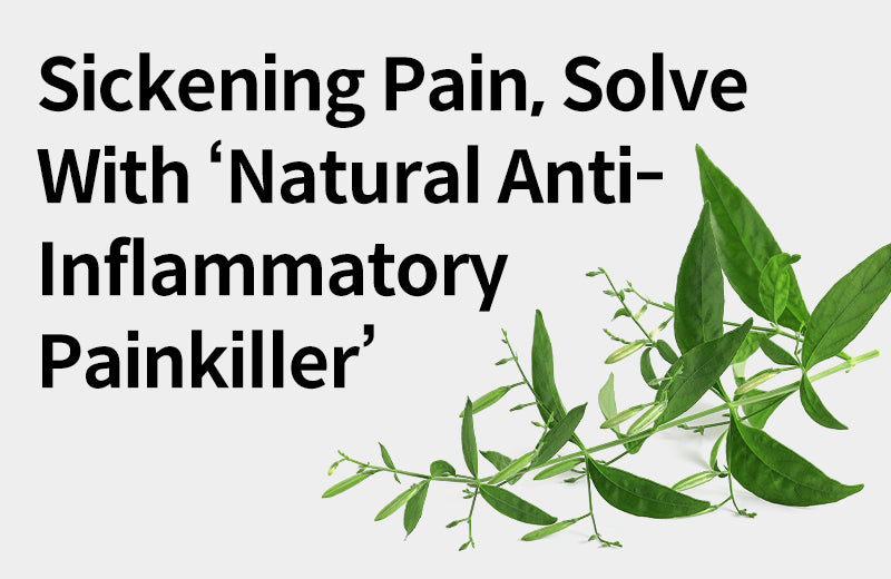 [Effects of ParActinⓇ] From Joint Pain to Overall Pain Relief, 3 Benef ...