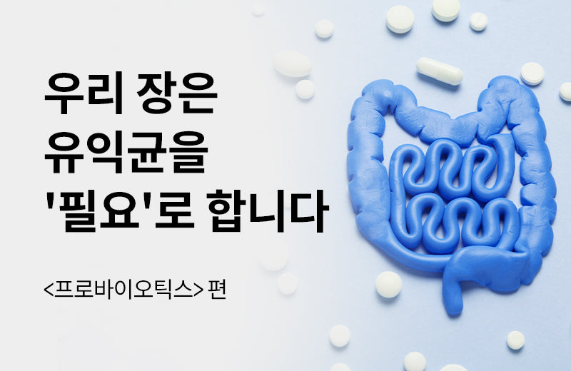 [Probiotics Episode 6] An Affordable and Powerful Way to Fill Your Gut ...